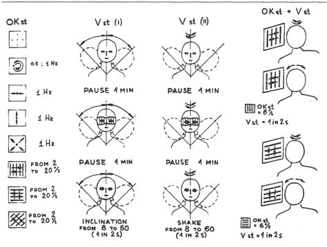 Figure 1 From Vestibular Function And Sensory Interaction In Space