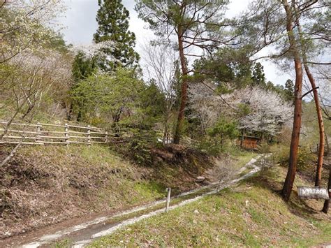 662 南会津の山の花園シラネアオイ園追記 雲南の蘭を楽しむ