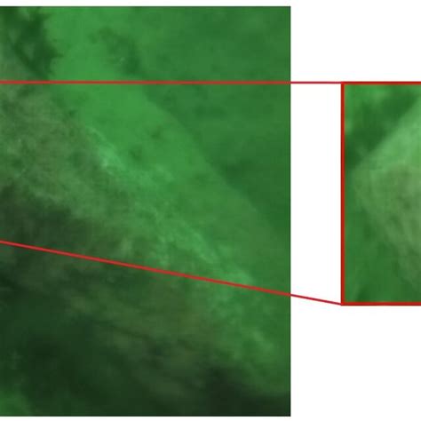 The Classical 8 Direction Fractional Integral Filter On A 2 D Grid Download Scientific Diagram