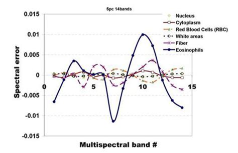 the graph shows the almost zero average spectral errors of the 5 tissue
