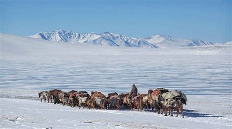 Том малын зүй бус хорогдол 567 6 мянга болж өмнөх оны мөн үеэс 535 3 мянгаар өсжээ Humanz