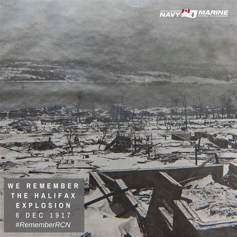 Anne Clements Anneclements11 Twitter