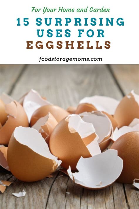15 Surprising Uses For Eggshells Food Storage Moms