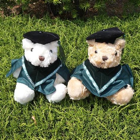 대학별 학사모 쓴 마스코트 인형 인스티즈instiz 이슈 카테고리