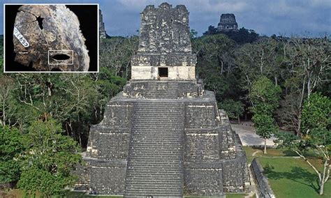 Ellyn Lapointe All Their Latest Coverage Daily Mail Online