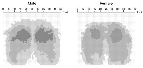 Hole Matrix Mapping Model For Partitioned Sitting Surface Based On Human Body Pressure