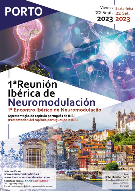 1ª Reunión Ibérica De Neuromodulación Svmefr