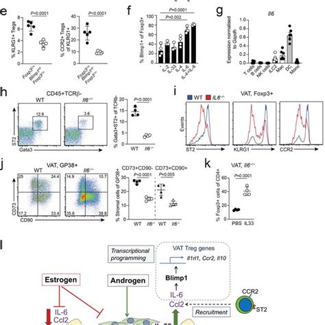 Vat Treg Cell Extrinsic Function Of Sex Hormones A Schematic Shows The