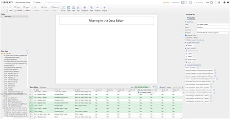 Raw Data Editor Displayr