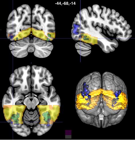 figure 3 1 from using convolutional neural networks to measure the contribution of visual