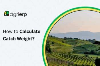 How To Calculate Catch Weight