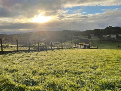 영국길을 걸은 이유