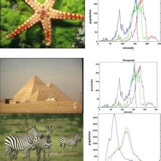 Images And Their Histogram Plots Download Scientific Diagram