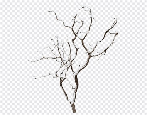 покрытый льдом коричневый деревянный ствол дерева зимнее дерево рука