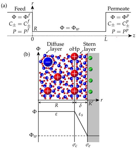 Membranes Free Full Text Modelling The Performance Of Electrically Conductive Nanofiltration