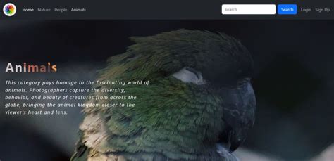 Md Abdullah Al Mamun On Linkedin Reactjs Redux Firebase Unsplash