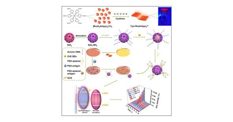 Highly Efficient Signal Onoff Electrochemiluminescence Gel Aptasensor