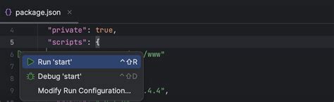 Npm Pnpm And Yarn Jetbrains Rider Documentation