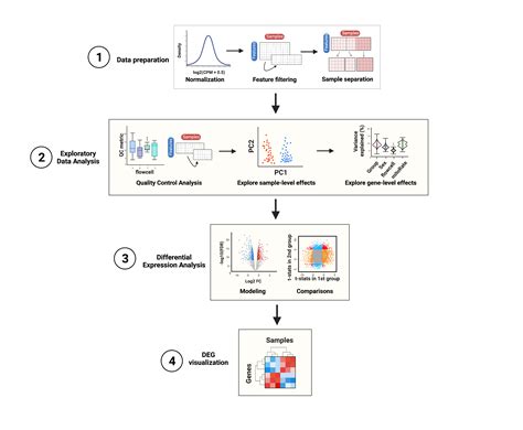 A Bioconductor Style Differential Expression Analysis Powered By Speaqeasy • Speaqeasyworkshop2023