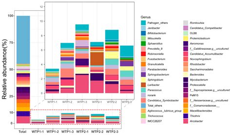Viruses Free Full Text A Metagenomic Investigation Of Potential Health Risks And Element