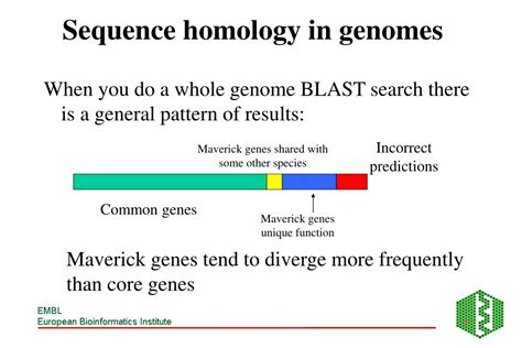 Ppt Genome Annotation And Functional Genomics The Protein Sequence Perspective Powerpoint