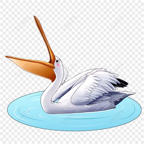 펠리컨 실루엣 이미지 사진 및 Png 일러스트 무료 다운로드 Lovepik