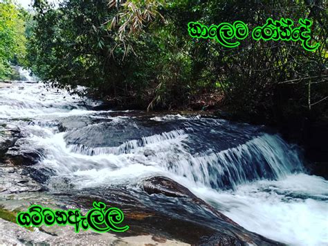 තාලෙට රෝන්දේ තාලෙට රෝන්දේ Added A New Photo