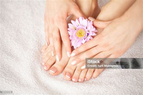 손 및 손톱 케어 아름 다운 여자의 발 그리고 매니큐어와 페디큐어 뷰티 살롱에서 후 손 스파 매니큐어 가꿔주기에 대한 스톡 사진 및 기타 이미지 Istock