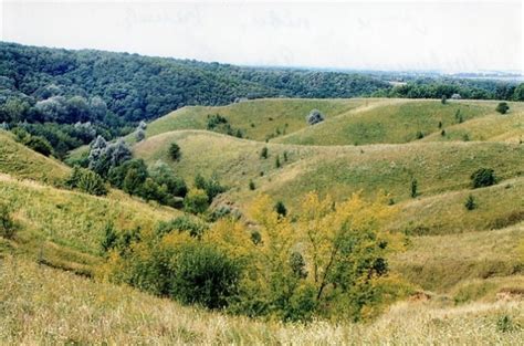 Канівський природний заповідник Канів вул Лісова Стежками України