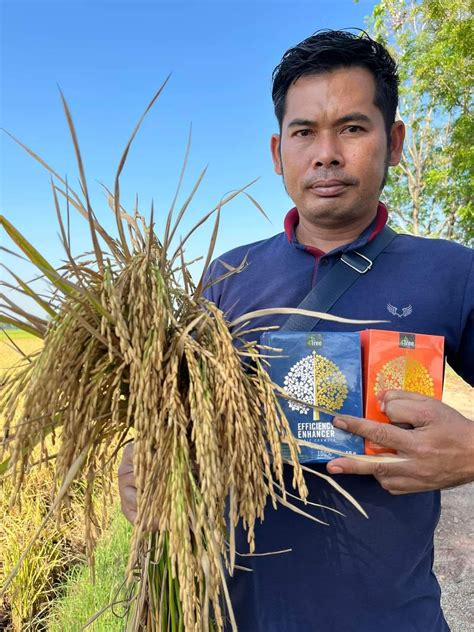 เกษตรสดใส ทำนายังไงให้ชีวิตเปลี่ยน 🌾🌾🌾 เรามีเคล็ดลับดีดีมาบอก ต้นข้าวแข็งแรง ดอกเยอะ รวงข้าว