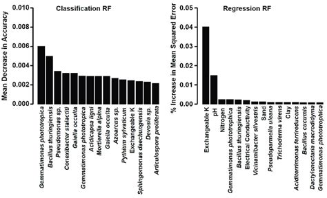 Top 15 Most Important Features In Random Forest Modeling For