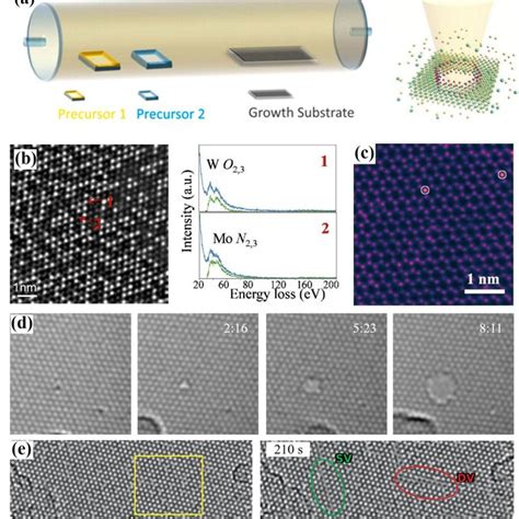 Typical Defects In 2d Materials A Point Defects Observed By Stem In Download Scientific