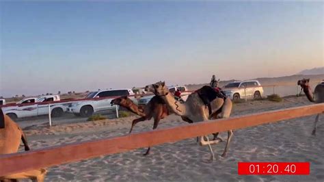 ش3 الشاهينية محمد بن حمدون البلوشي 213 Youtube