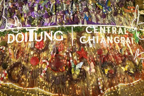 ประมวลภาพ เที่ยวงาน สีสันกาสะลอง พร้อมชมแสงไฟ ต้นคริสต์มาส ”หมอกพันวา