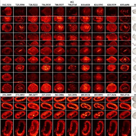 U Net Cnn Architecture Modified For Image To Image Translation Taking