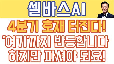 셀바스ai 주가전망 4분기 대형 호재 터집니다 여기까지 반등합니다 하지만 파셔야 되요 Youtube