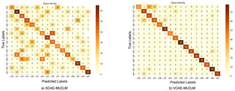 Enhancing Taxonomic Categorization Of Dna Sequences With Deep Learning