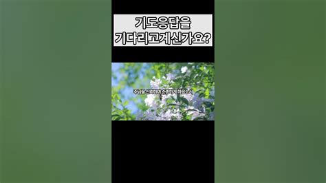 기도응답을 기다릴때 이렇게 기도하세요 응답을 경험했어요 절대 걱정마세요 염려마세요 이 기도문으로 2025년 분명히 달라