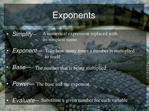 PPT How Do You Simplify Using Order Of Operations And Exponents PowerPoint Presentation ID
