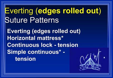 Suture Patterns Ppt