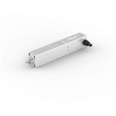 Robustmotion Rm Sla Series High Precise Straight Electric Linear Actuator With Servo Motor 50