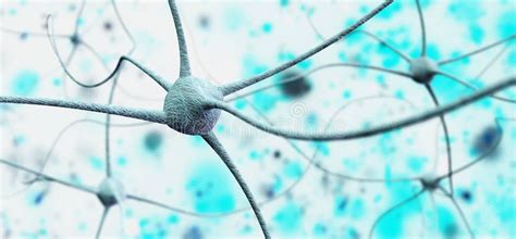 Neuron Neural Network Nerve Node Stock Image Image Of Signal