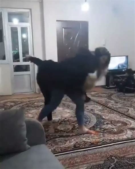 کشتی کج دختران ایران Youtube