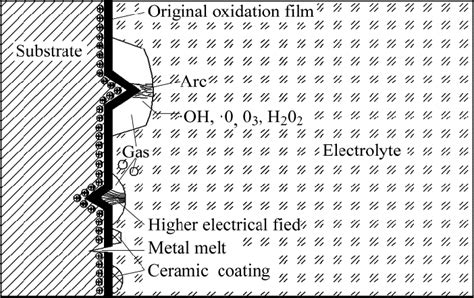 Schematic Of The Surface Process During MAO Treatment Download Scientific Diagram