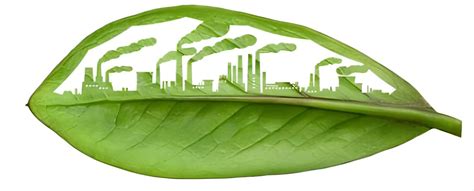 What Is ε Caprolactone Unilong Group