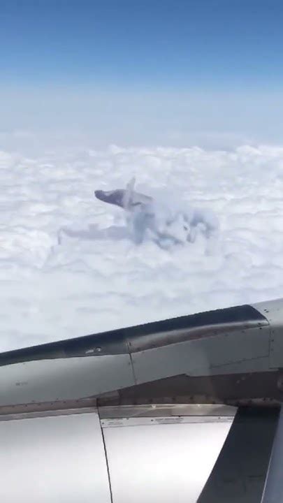 우영우의 고래 상상이 현실로 되다 Youtube