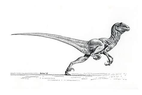 Categorybirds Jurassic Park Wiki Fandom