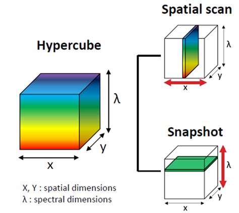 清晰光谱空间：全自动可调波长系统的高光谱成像优势 Csdn博客