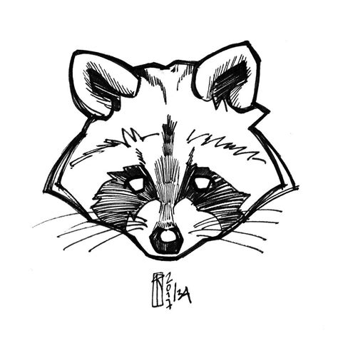 Raccoon Drawings Easy To Draw Sketch Coloring Page 22000 The Best Porn Website