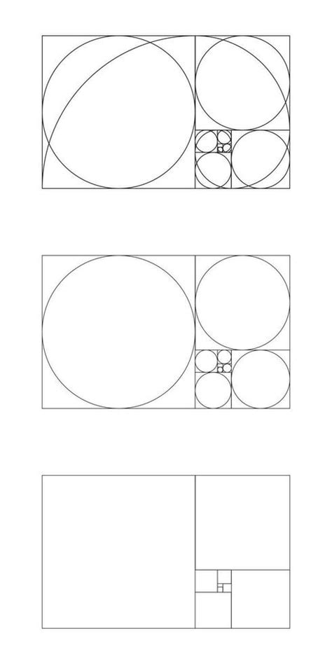 Golden Ratio Template Fibonacci Array Numbers Golden Proportions Collection 24118928 Vector